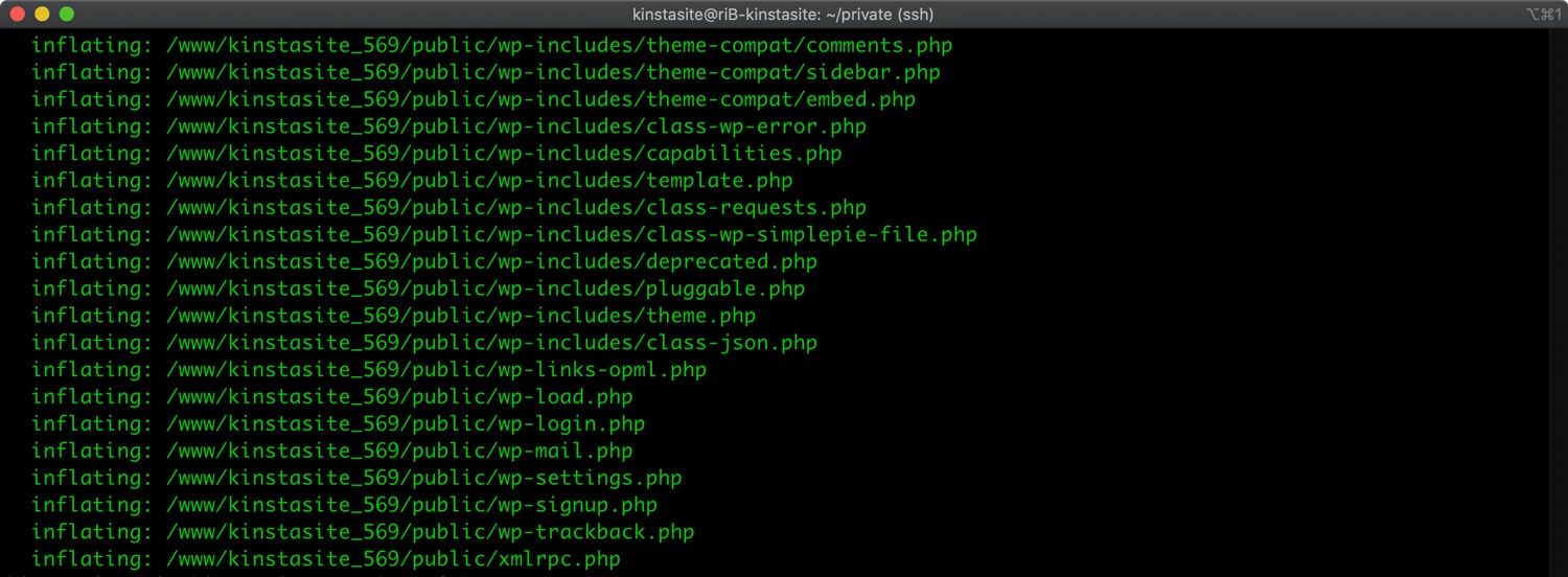 How To Unzip A ZIP File In Terminal Using SSH
