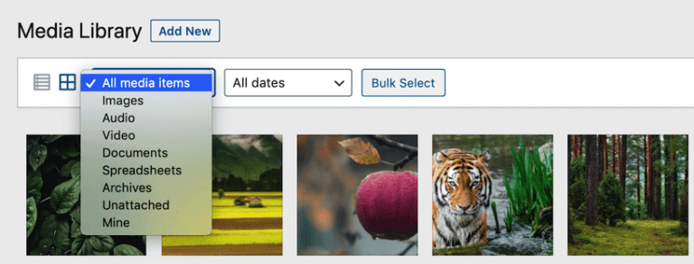 WordPress Media Library: Complete Guide (+4 Handy Hacks)