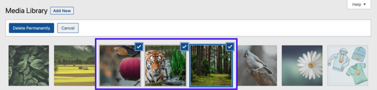WordPress Media Library: Complete Guide (+4 Handy Hacks)