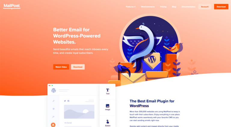 22 Best Mailchimp Alternatives - Free and Paid Options (2024) - Kinsta®