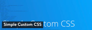 How to Use CSS in WordPress (Edit, Add, & Customize Your Site's Look)