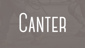 50+ Modern Fonts to Use on Your Website in 2026