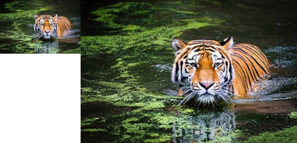 15 Best Image File Types (Pros vs Cons of Each Format)