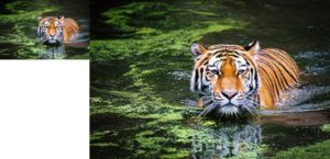 15 Best Image File Types (Pros vs Cons of Each Format)