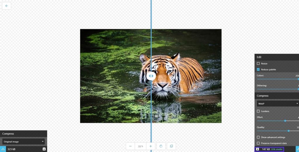 15 Best Image File Types (Pros vs Cons of Each Format)