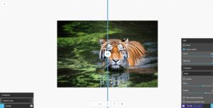 15 Best Image File Types (Pros vs Cons of Each Format)