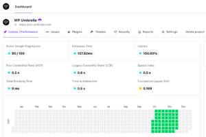 Kinsta Helps WP Umbrella Disrupt the WordPress Monitoring Industry