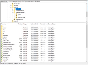 A Comprehensive Guide on WordPress Files and How to Use Them