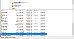 A Comprehensive Guide on WordPress Files and How to Use Them