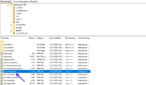 A Comprehensive Guide on WordPress Files and How to Use Them