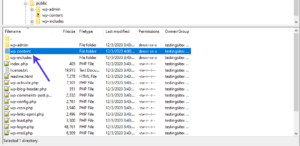 A Comprehensive Guide on WordPress Files and How to Use Them