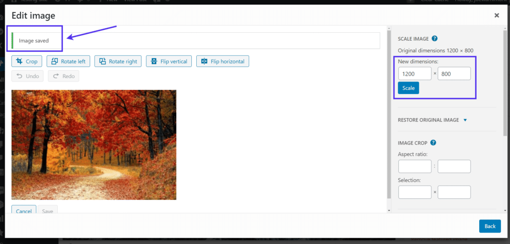 Fix WordPress Featured Image Not Showing Properly (Or Not At All)