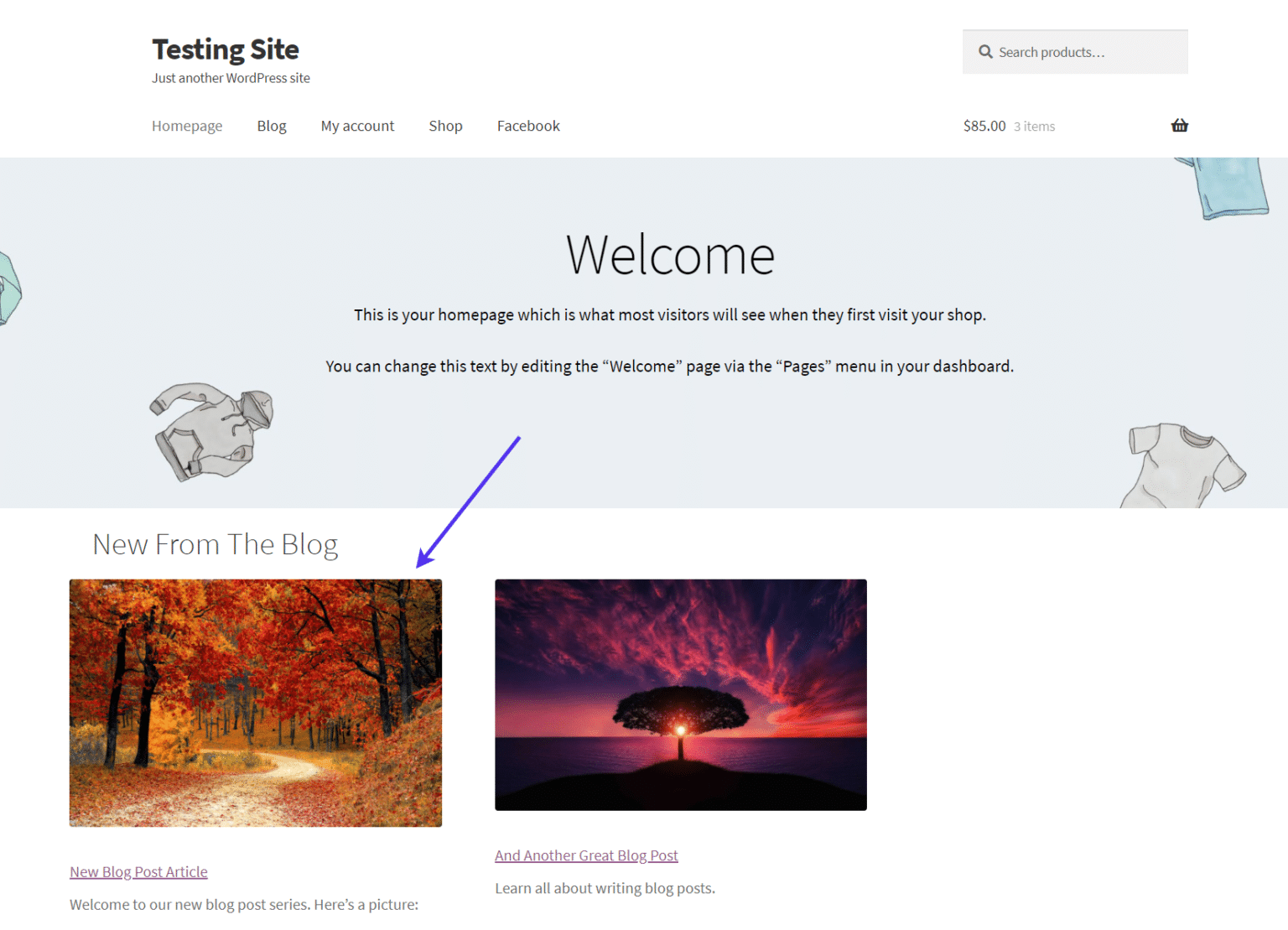 Fix Wordpress Featured Image Not Showing Properly Or Not At All