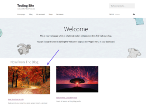 Fix WordPress Featured Image Not Showing Properly (Or Not At All)