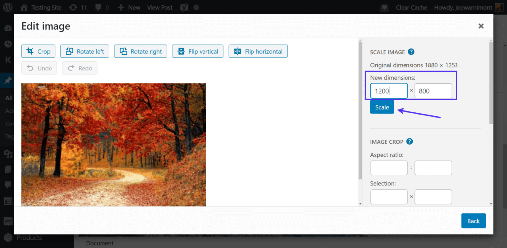 Fix WordPress Featured Image Not Showing Properly (Or Not At All)