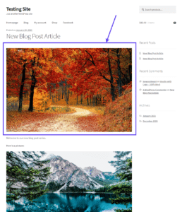 Fix WordPress Featured Image Not Showing Properly (Or Not At All)