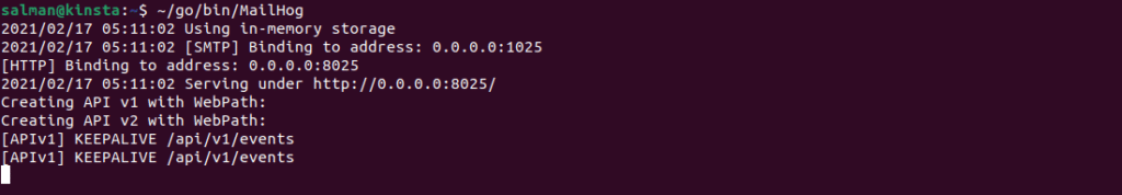 Mailhog How To Use It To Test Emails Locally 