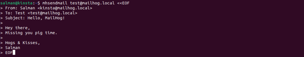 MailHog: How to Use It to Test Emails Locally