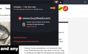 Brave Browser Review: A Secure Browser With a Strong Backbone