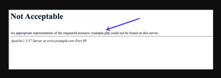 How to Fix a 406 Error and Find the Source of the Problem