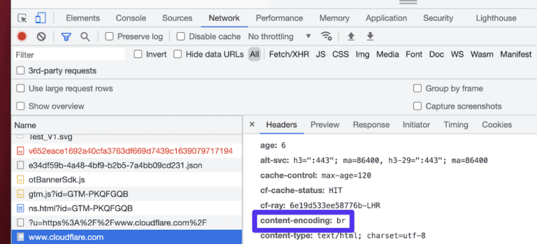 Brotli Compression A Fast Alternative To Gzip Compression