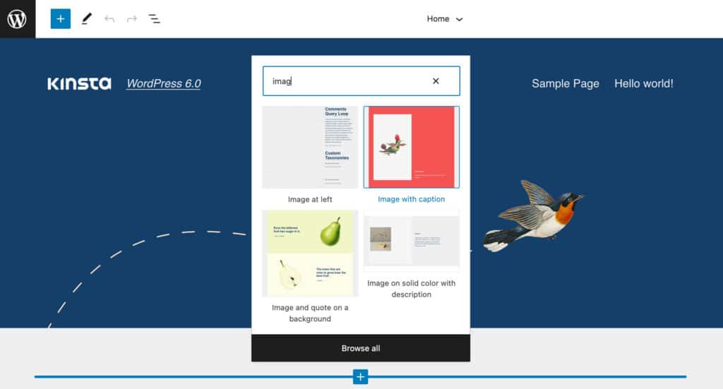 What's New in WordPress 6.0