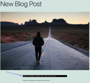 How To Show Last Updated Date on WordPress Posts and Pages