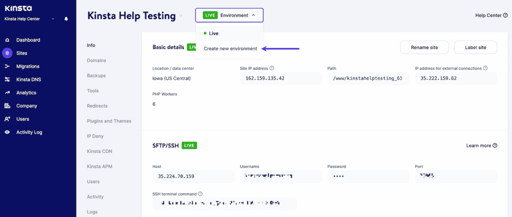 Introducing Kinsta's Premium Staging Environment Add-On