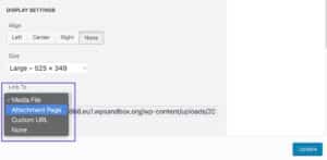 How To Make a Link Clickable - Kinsta®
