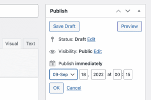 How To Schedule Posts in WordPress (3 Methods)