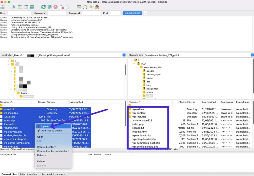 How to find your WordPress version &amp; update to the latest one