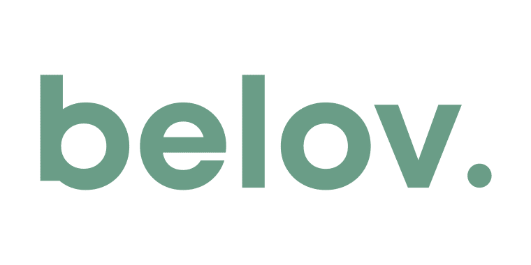 Belov Digital Agency - Kinsta Agency Directory