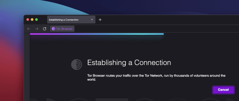 Tor Browser Review: An Anonymous Way to Surf the Web