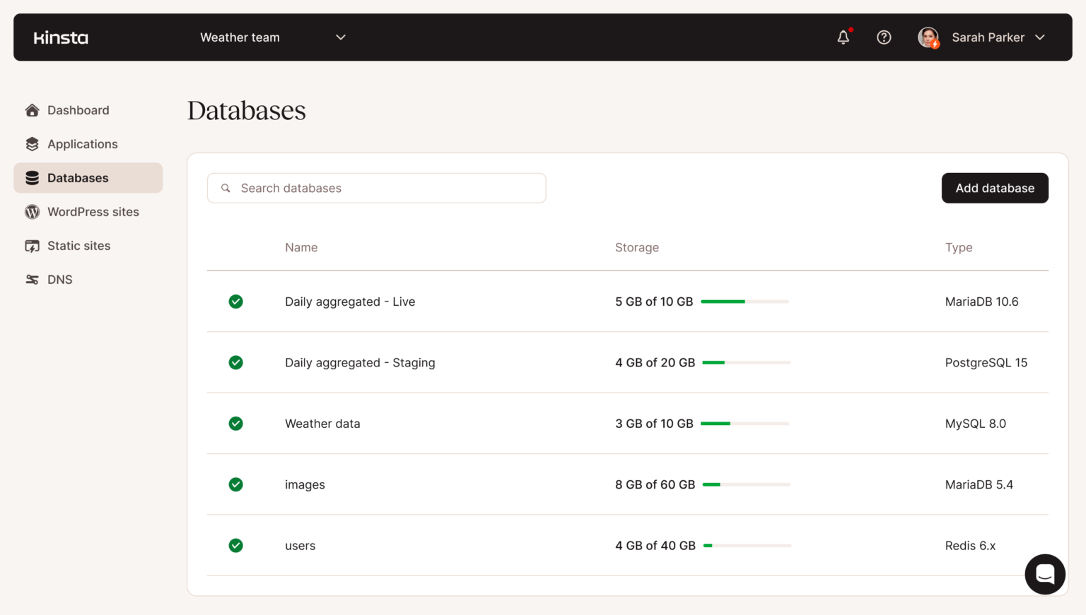 Database Hosting for All Your Web Projects - Kinsta®
