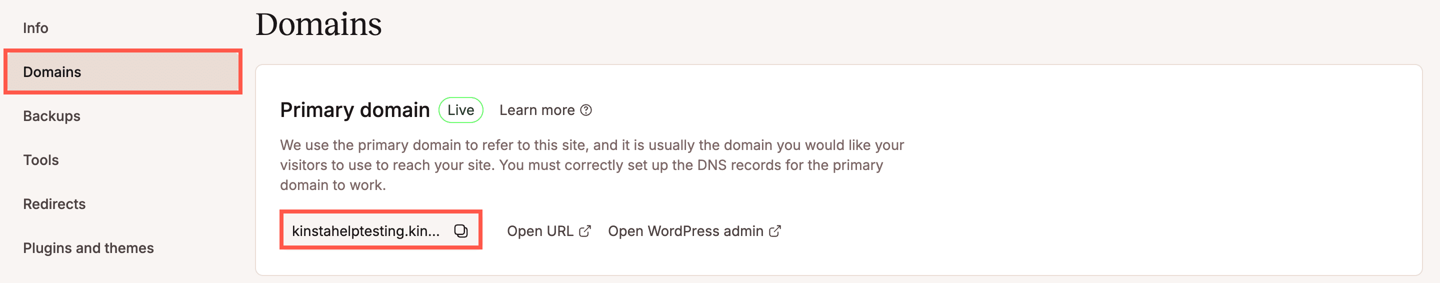 Domains and DNS - Temporary URL - Kinsta® Docs
