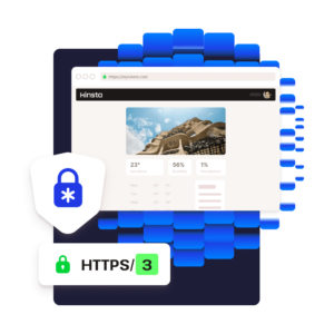 Kinsta® Cloudflare Integration: Enhancing Speed & Security