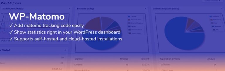 How to set up Matomo on Your WordPress site?