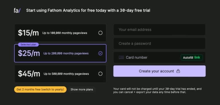 Streamline your WordPress analytics with Fathom Analytics - Kinsta®