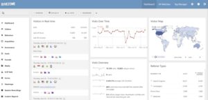 How to set up Matomo on Your WordPress site?
