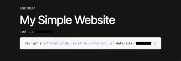 Streamline your WordPress analytics with Fathom Analytics - Kinsta®