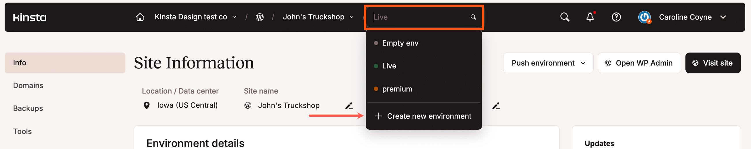 WordPress Hosting - Staging Environments - Kinsta® Docs