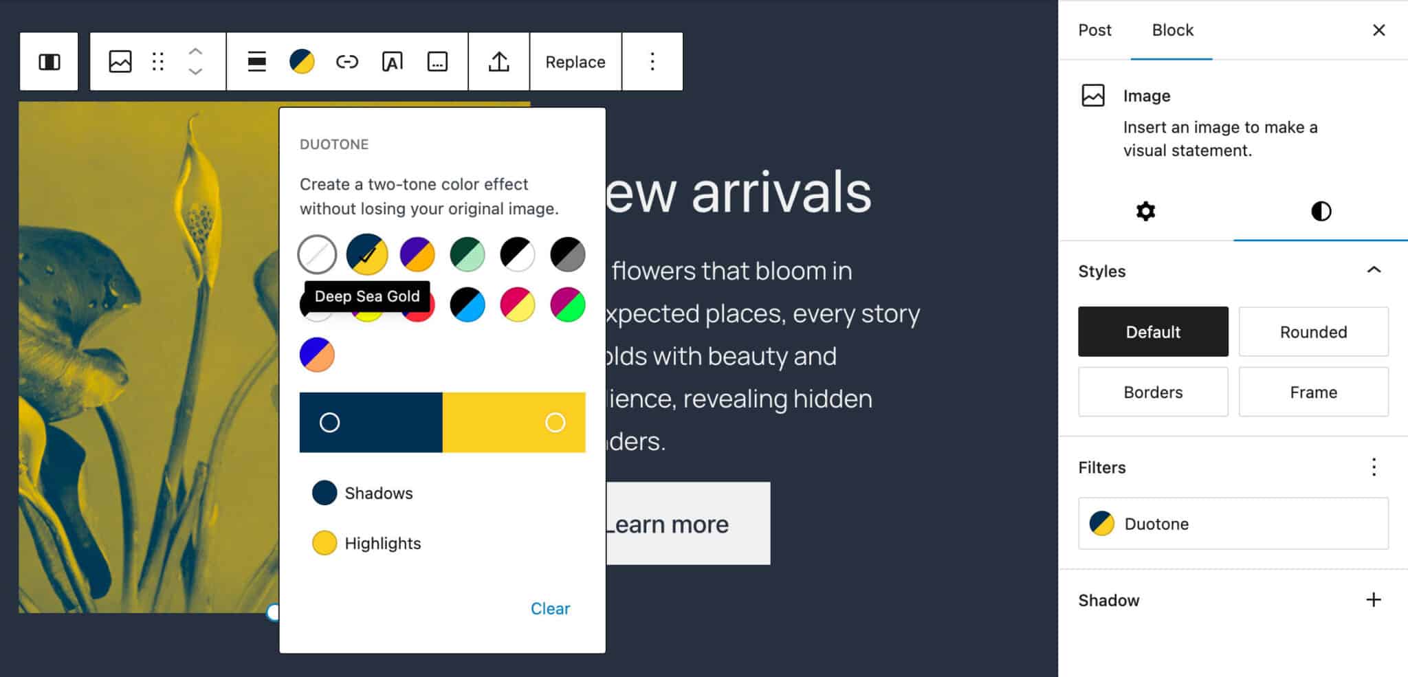 WordPress Hybrid Themes: A user and developer approach